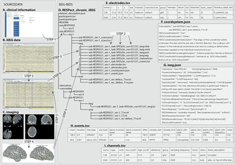 Overview Of The Steps And Sourcedata Required To Convert The Long Term