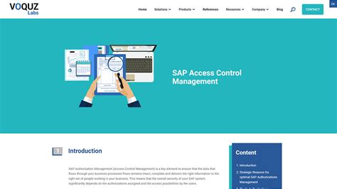 Sap Authorization Management