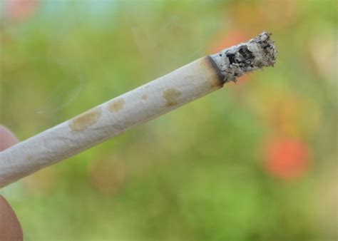 How To Read The Expiration Date On Newport Cigarettes