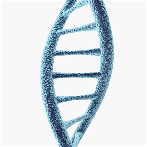 3d Dna Set Model Turbosquid 1163514