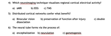 Solved 4 Which Neuroimaging Technique Visualizes Region