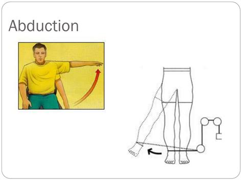 Ppt Anatomical Directions And Movements Powerpoint Presentation Id