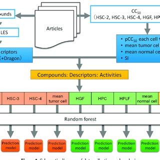Schematic Diagram Of Data Collection And Analysis Download Scientific Diagram