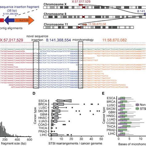 Sv And Large Indel Detection In Na12878 Validated Against Pacbio