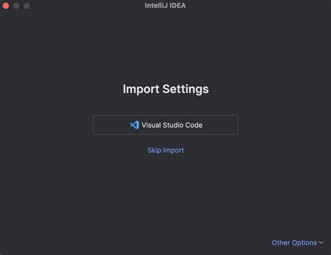 从 Vs Code 迁移到 Intellij Idea Intellij Idea 文档