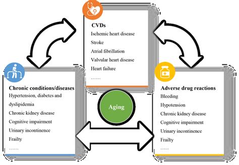 The Complex Relationship Between Cvd Chronic Conditions Diseases And Download Scientific