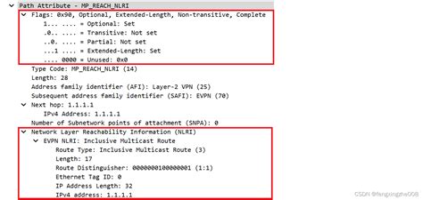 vxlan 原理介绍 报文分析 配置实例 rfc7348 rfc8365 vxlan报文 csdn博客