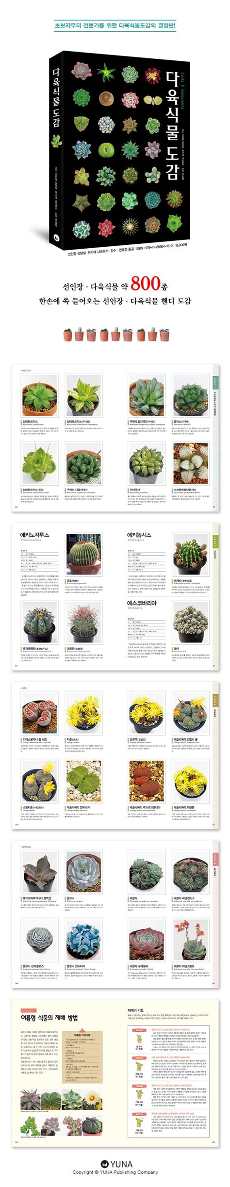 다육식물도감 Cacti And Succulents 교보문고