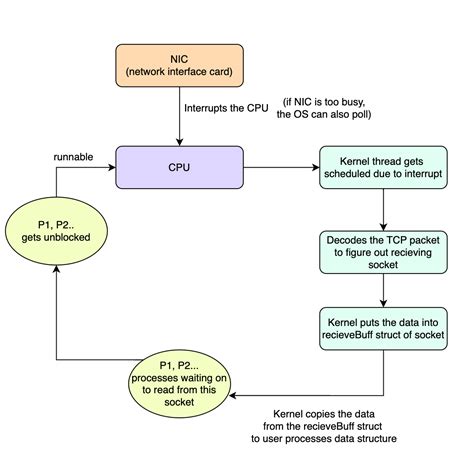 difference between pf inet sockets and pf packet sockets by qre0ct