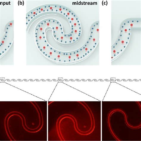 pdf submicron particle focusing and exosome sorting by wavy