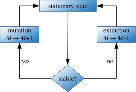 Schematic Algorithm For The Long Term Population Dynamics First We