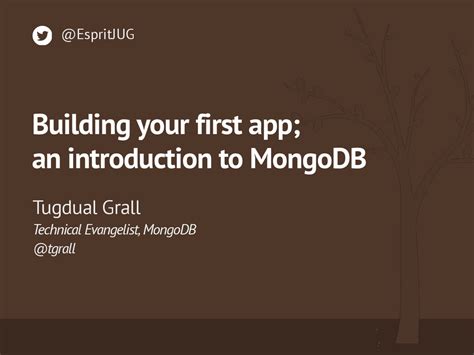 building your first mongodb application speaker deck
