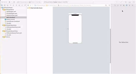 Transfer Data Between The Viewcontroller In Uikit Basic Step By Step