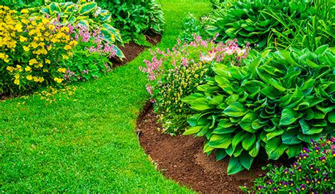 How To Read A Fertilizer Label The J R Simplot Company