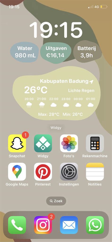 Aesthetic Setup Rwidgy