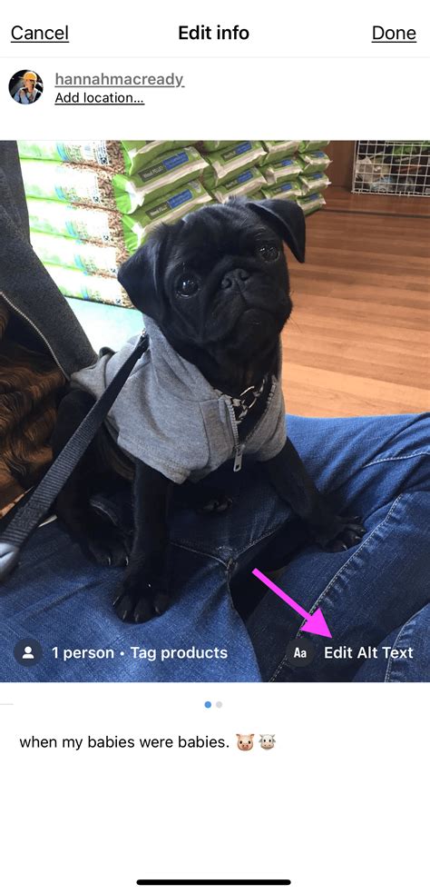 Why Instagram Alt Text Matters And How To Use It