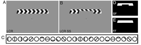 Example Of The Stimuli Used To Obtain Prf Parameter Estimates A Lcr