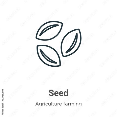 Seed Outline Vector Icon Thin Line Black Seed Icon Flat Vector Simple Element Illustration