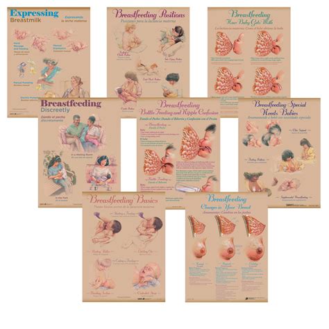 Breastfeeding Chart Set 8 Charts Medstore