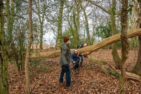 The Legend Of Babes In Wayland Wood Be Norfolk