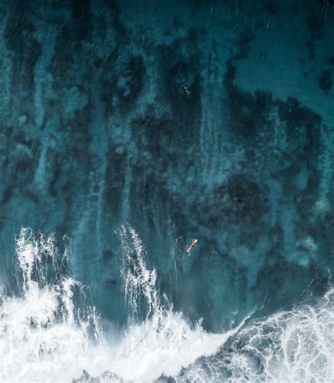 Citizen Science Convex Seascape Survey