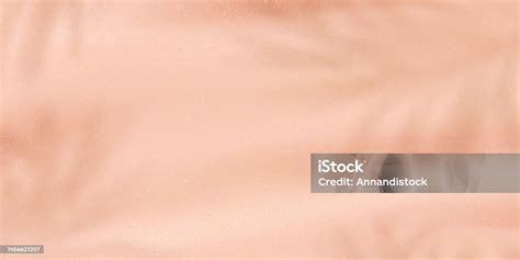 야자수가 베이지색 톤의 모래 해변 질감에 그림자를 남기는 여름 배경 여름 휴가를 위한 수평선 배너 해변 파도 열대 해변 풍경