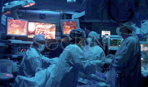 After Endometriosis Surgery Seckin Endometriosis Center