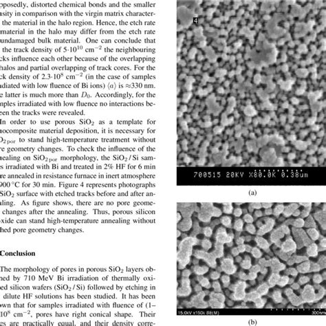 SEM Images Of The Porous SiO Surface For A Un Annealed Sample And Download Scientific