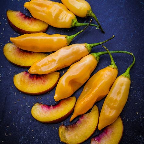 Sugar Rush Peach Hot Pepper Seeds Baker Creek Seeds