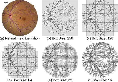 An Illustration Of Fractal Dimension Analysis With Application To Download Scientific Diagram