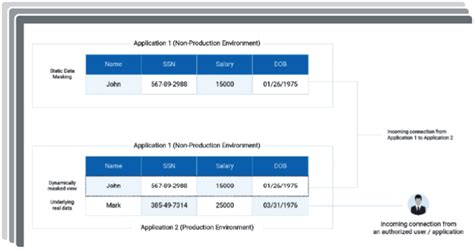 Dynamic Data Masking Mage Data
