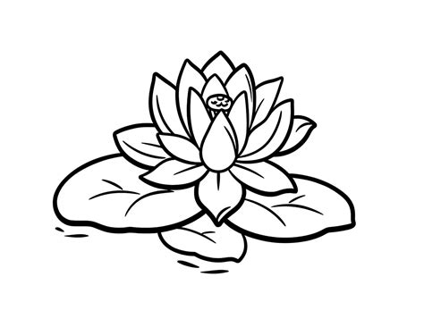 Lily Pad Drawing Reference At Kimberly Whitehead Blog