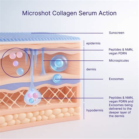 Vegan Vs Salmon Pdrn Dna Repair Signal For Calmer Firmer Glowier