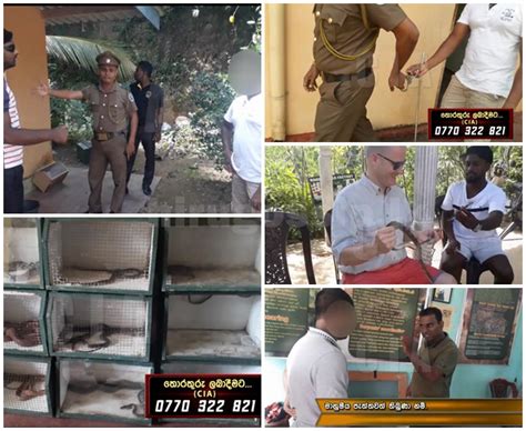 නාග මාපිලන් කටකළුවන් ඇහැටුල්ලන් ආදී උරගයින් නීති විරෝධීව සන්තකයේ තබා ගෙන සිටි මාතර දෙදෙනෙකුට