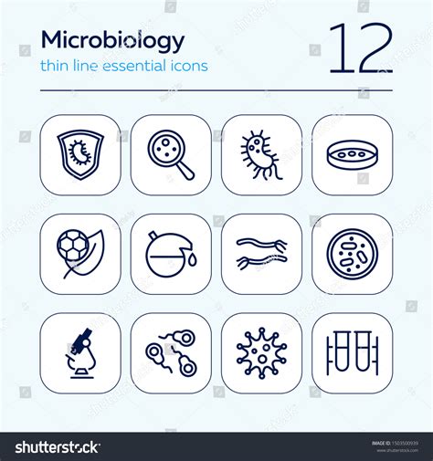 Microbiology Icon Set Line Icon On Stock Vector Royalty Free 1503500939 Shutterstock
