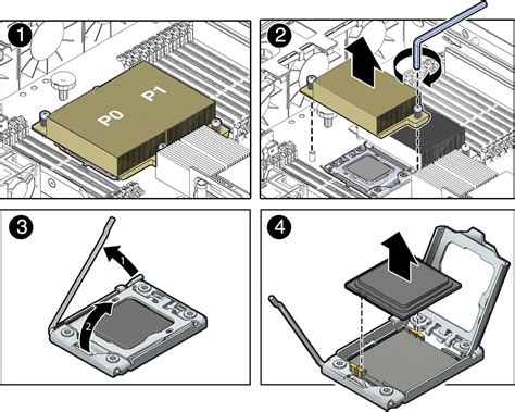 Cpu Heatsink Delete At James Goldsbrough Blog