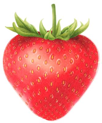 Strawberry Pngs For Free Download