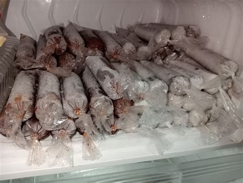 Kristine Joy Bituin Gonda