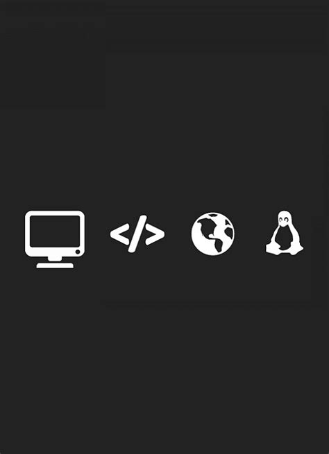 Programming Developer