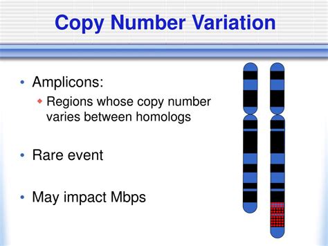 Ppt Understanding Allele Specific Copy Number In Tumors Powerpoint