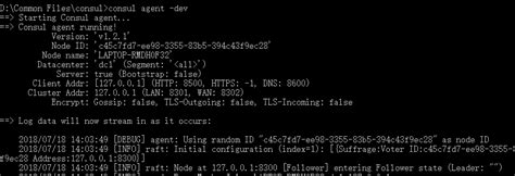 springcloud consul基本使用 csdn博客