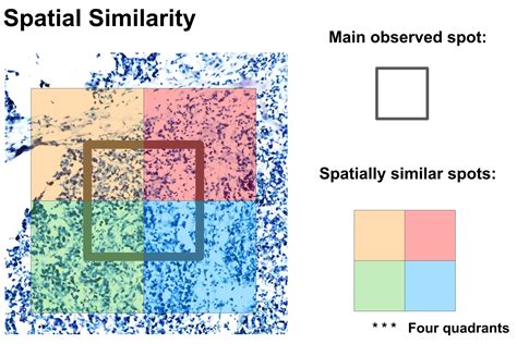 Analysis Of Spatial Transcriptomic Data GeneCodeR