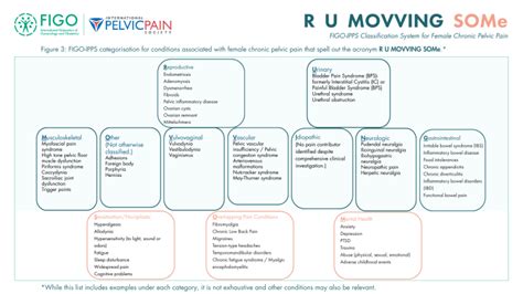 Figo And Ipps Launch New Global Classification System For Chronic