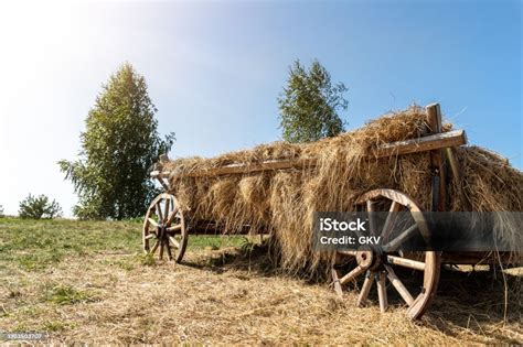 밝은 화창한 날에 맑은 푸른 하늘에 녹색 잔디 초원 필드에 건초 더미와 오래 된 빈티지 소박한 나무 고 대 카트 마차 노인 교통 농장 목장과 경치 시골 시골 풍경 0명에