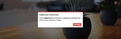 Top 5 Excellent Wordpress Anti Adblock Plugins Engine Templates