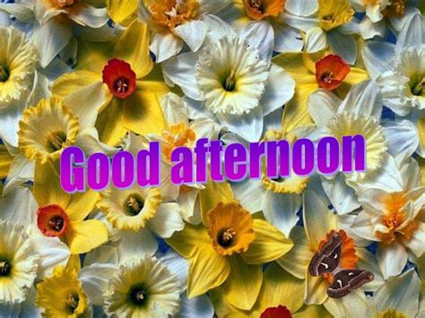 Bone Loss And Patterns Of Bone Lossppt1