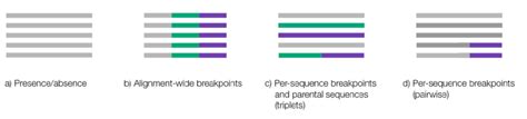 3 The Main Modes Of Recombination Detection Methods Used In This