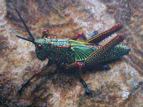 Grasshopper Golden Hour Art