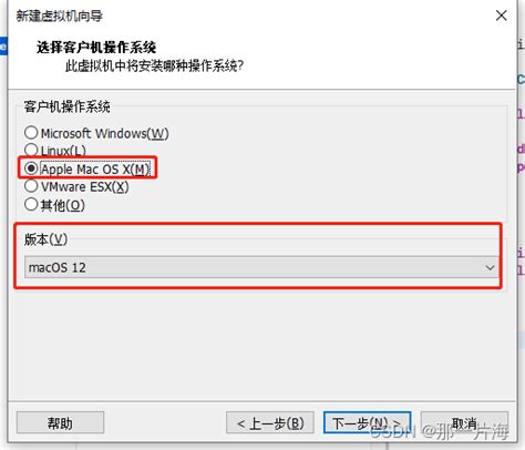 windows虚拟机安装mac os系统（操作图解） windows上安装macks虚拟机最好 csdn博客