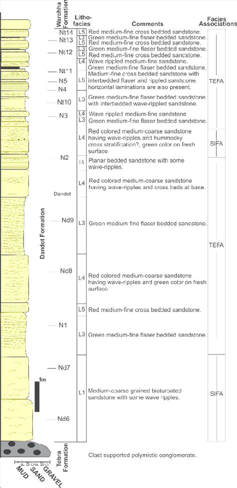 The Distribution Of Lithofacies And Facies Associations Of The Dandot Download Scientific